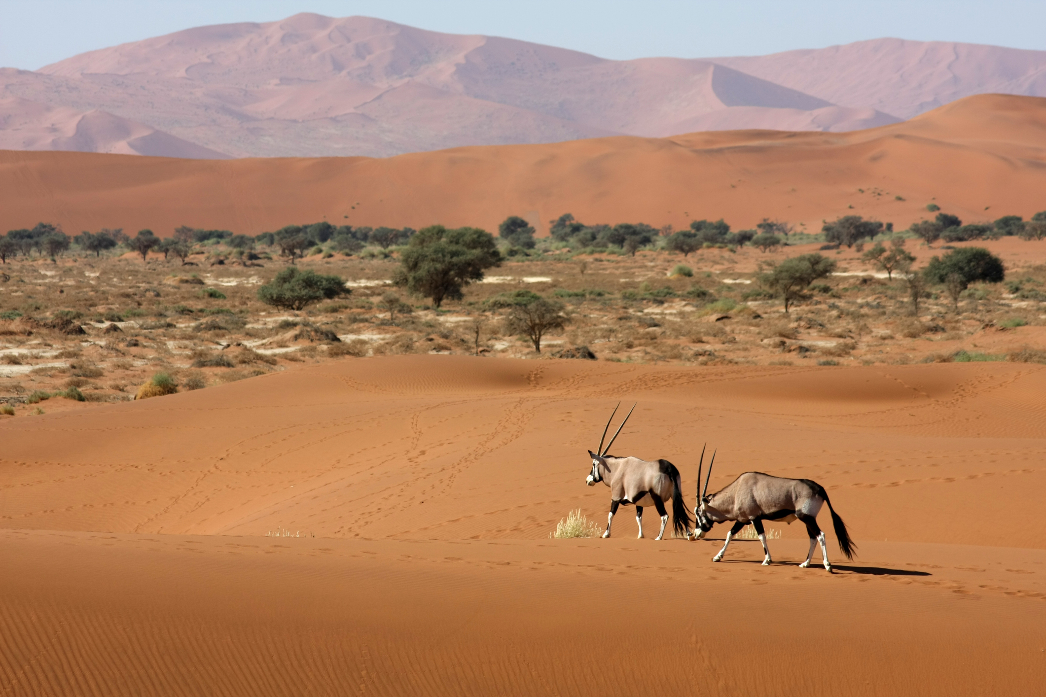 Beste Reisezeit für Namibia: Klima, Wetter & Tipps | Tourlane