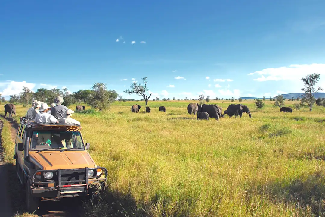 Quand partir en Tanzanie ? Guide de voyage | Tourlane