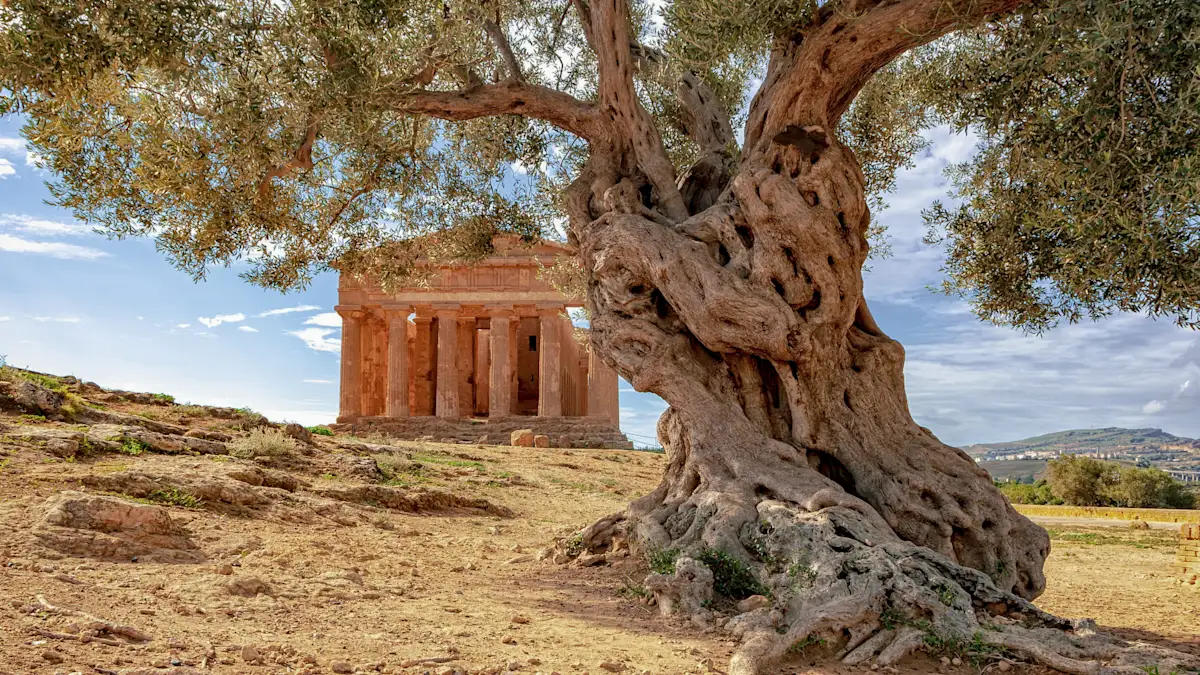 Things to Do and See in Italy | Tourlane