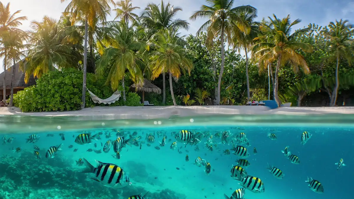 Top 10 der schönsten Inseln auf den Malediven | Tourlane