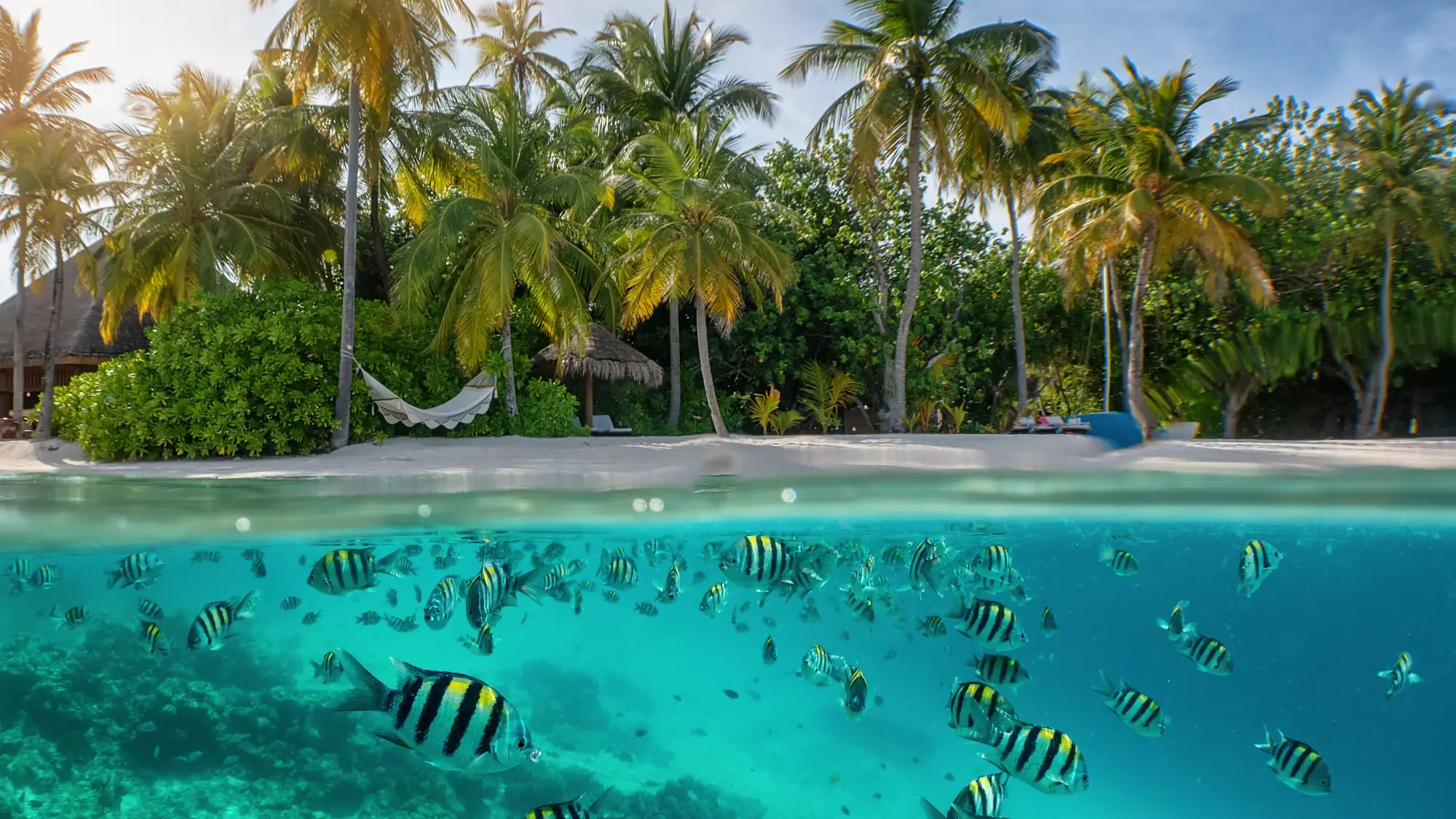 Top 10 der schönsten Inseln auf den Malediven | Tourlane