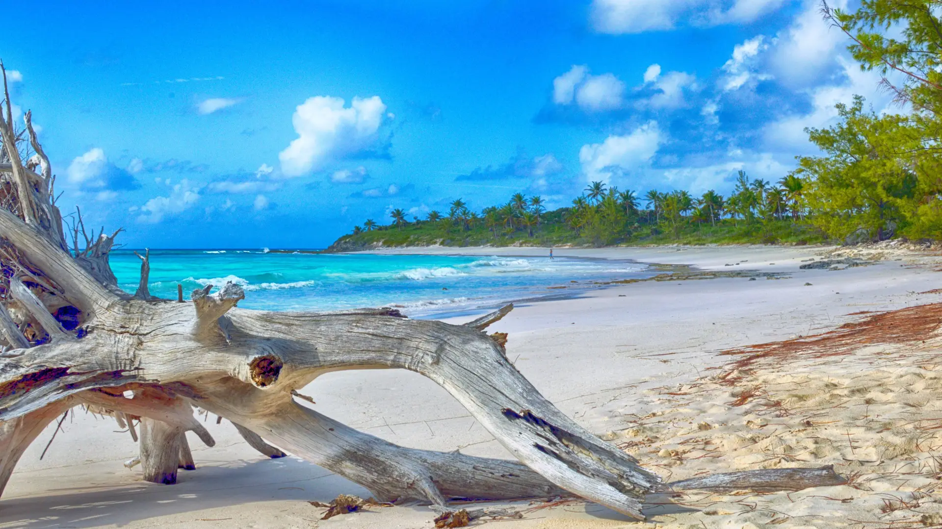 Top 10 des plus belles îles des Bahamas | Tourlane