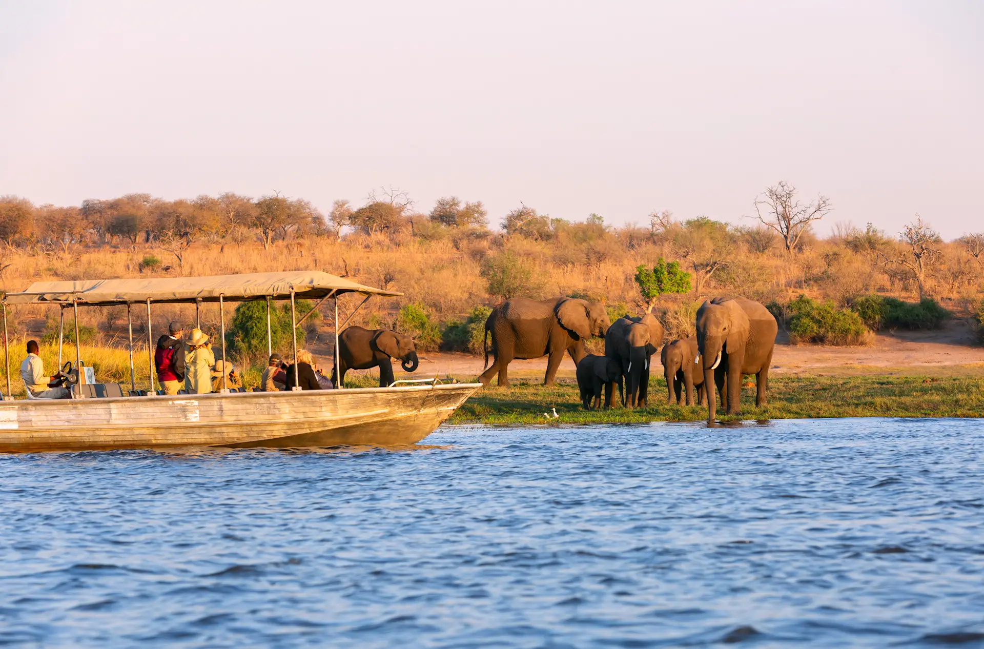 Beste Reisezeit für den Chobe Nationalpark: Klima, Wetter & Tipps ...