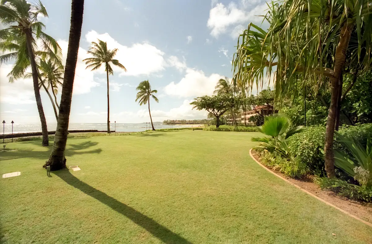 Golf en Polynésie Française : nos conseils et offres | Tourlane