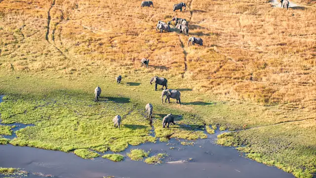 Essen in Botswana: Top 10 botsuanische Spezialitäten | Tourlane