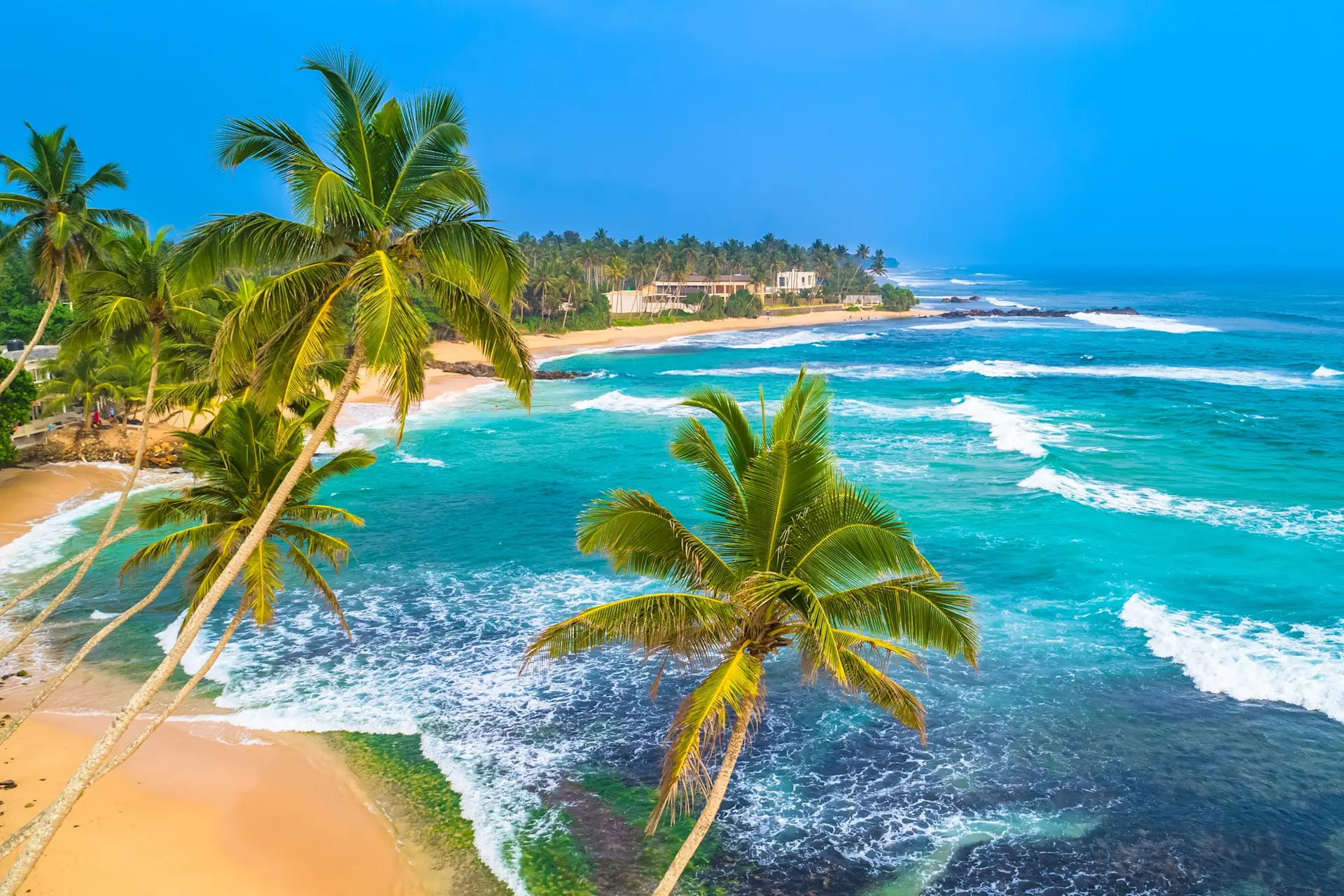 Quand partir au Sri Lanka ? Guide de voyage | Tourlane