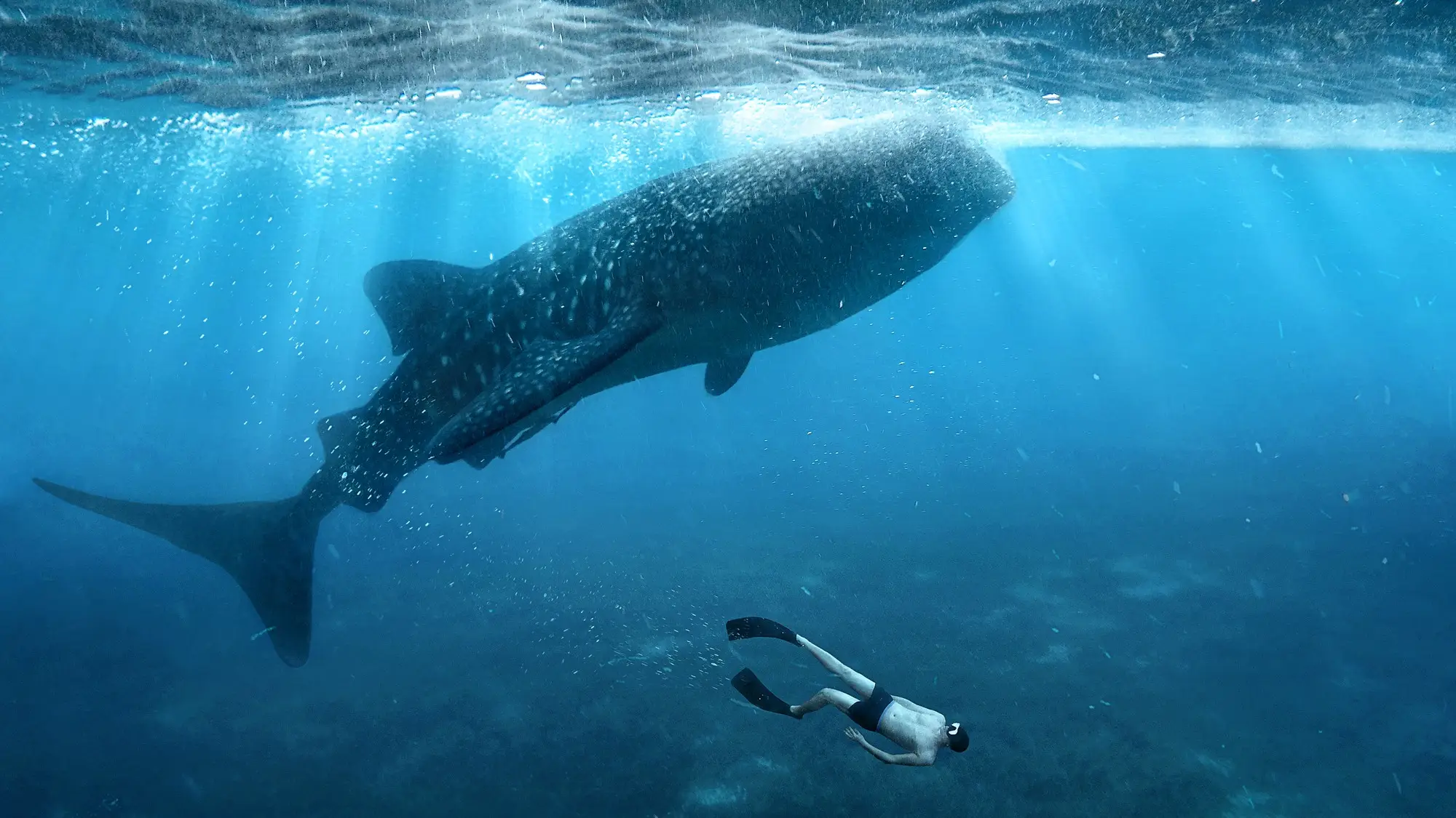 Beste Reisezeit für die Philippinen: Klima, Wetter & Tipps | Tourlane