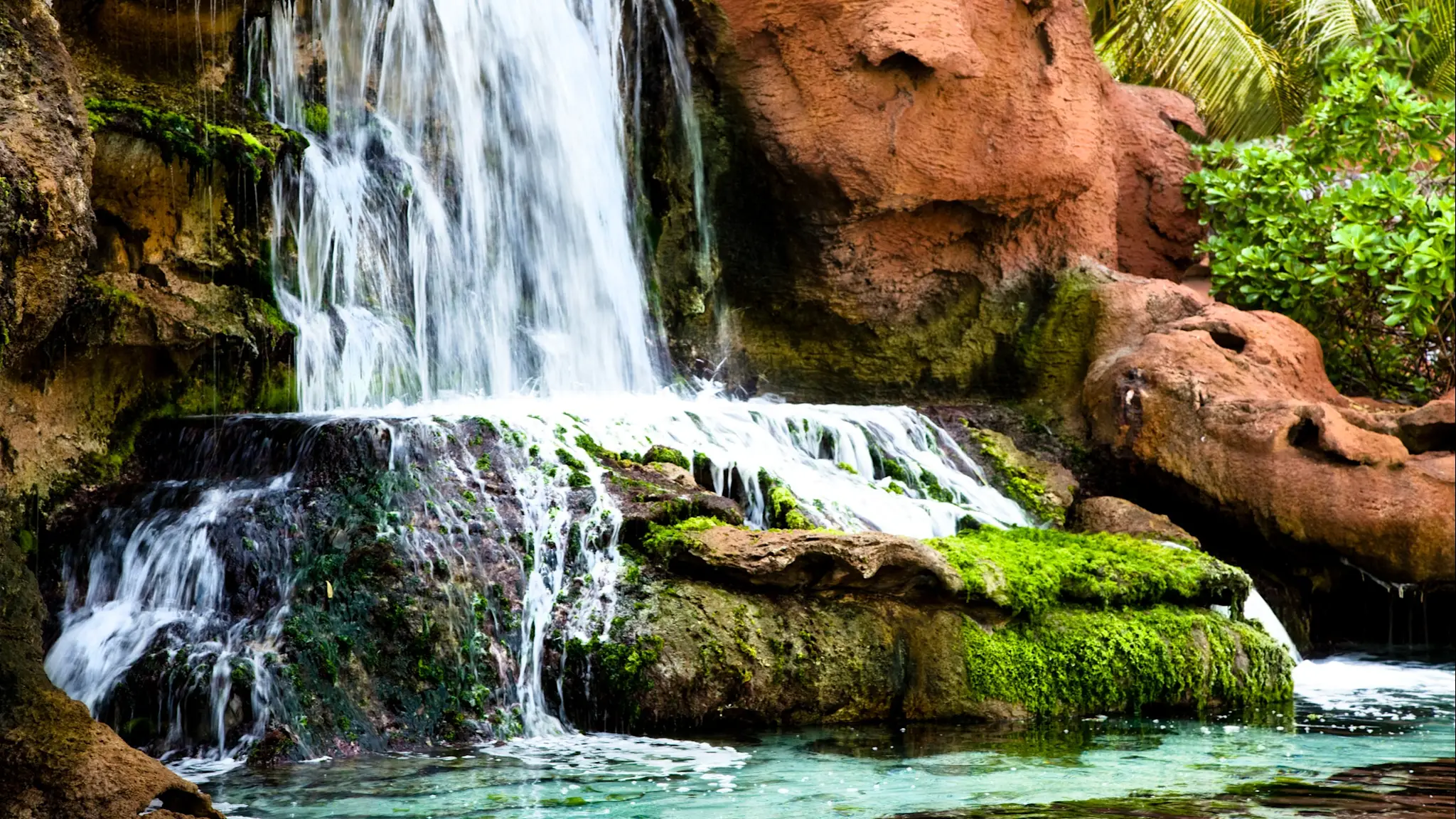 Top 12 des lieux d'intérêts à faire aux Bahamas | Tourlane