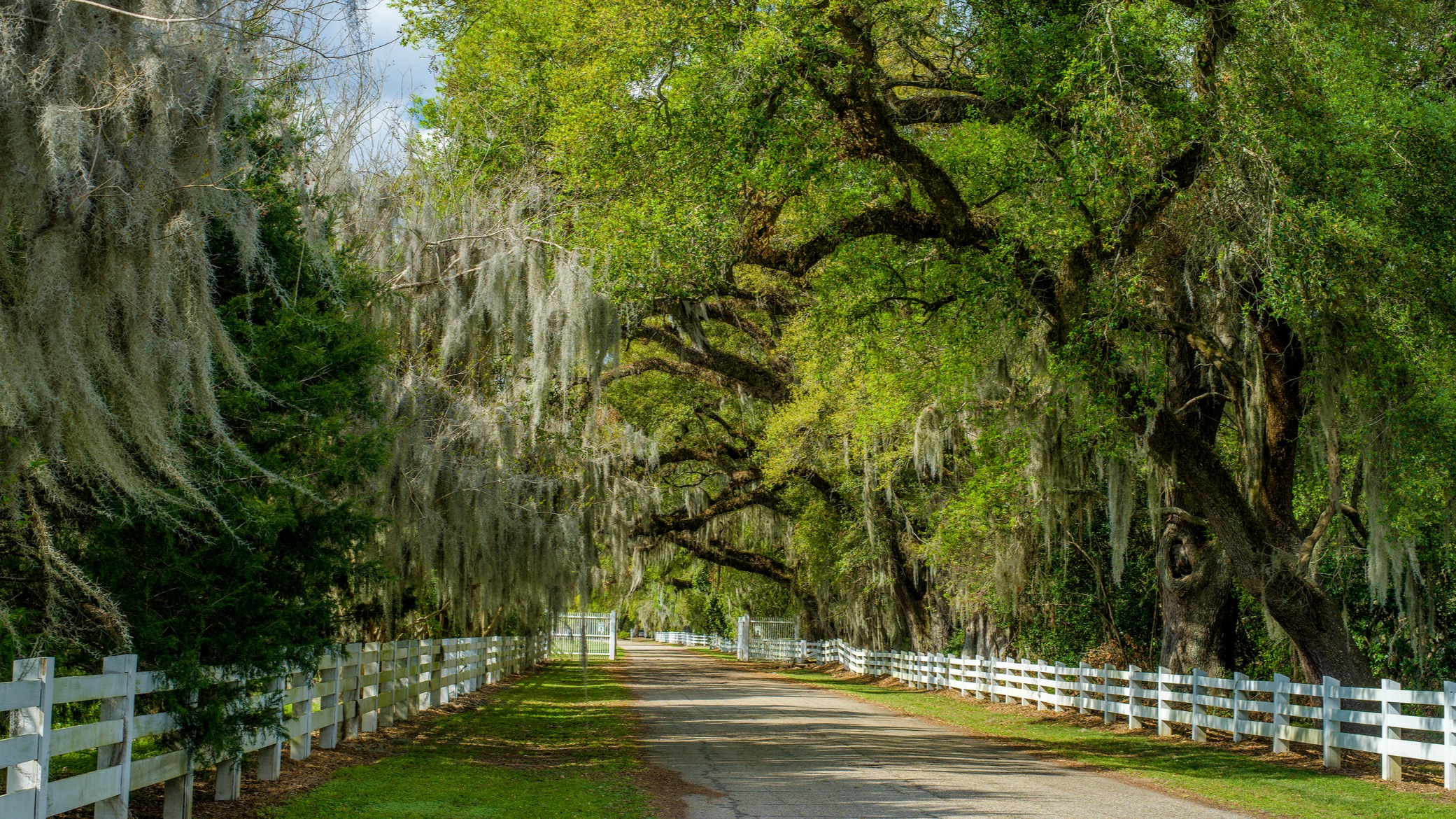 Visiter la Louisiane : 15 choses à faire et à voire | Tourlane
