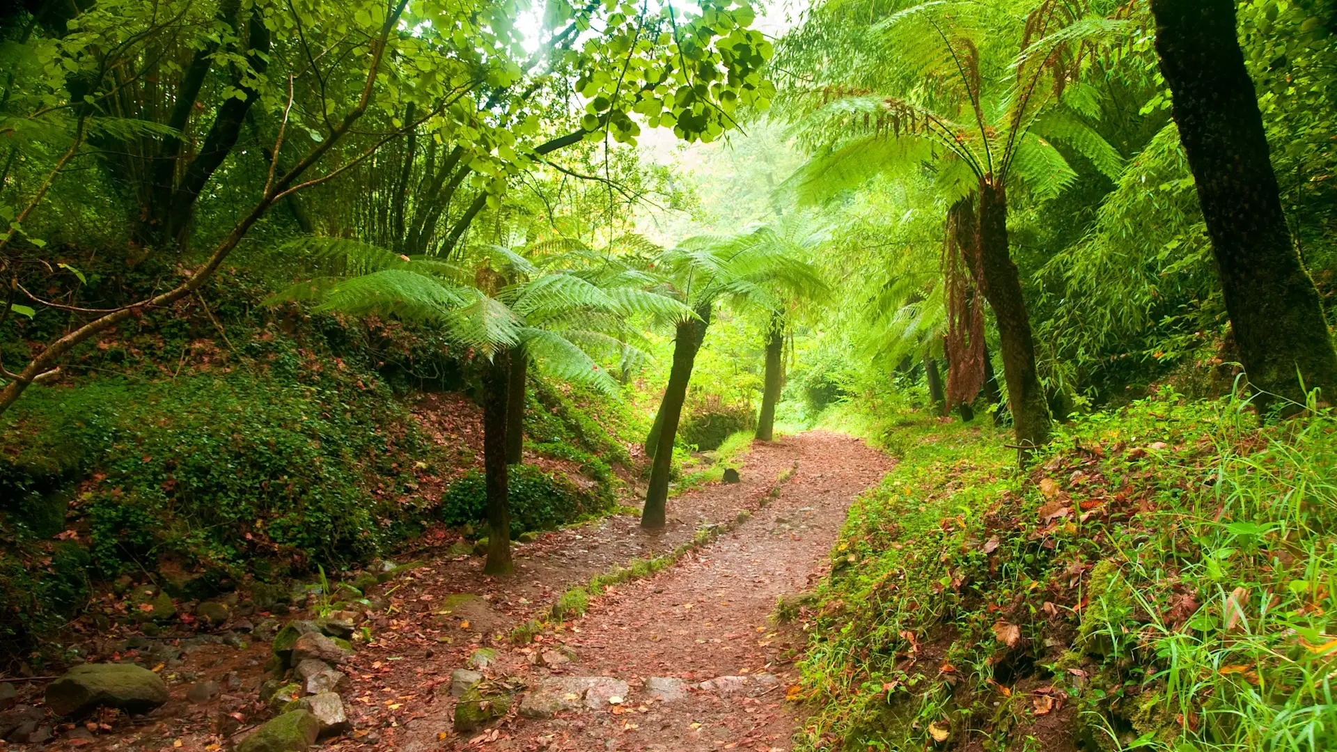 Best things to do and see in Portugal in holidays |Tourlane