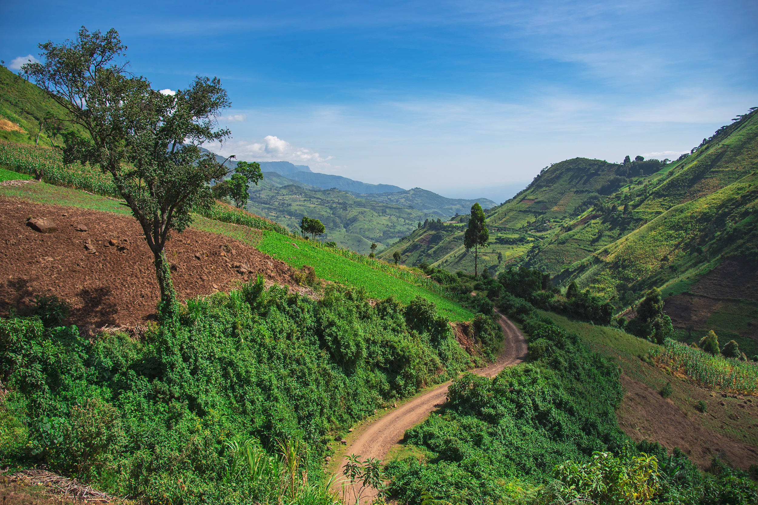 Quelle activité au Kenya ? 10 activités spéciales | Tourlane