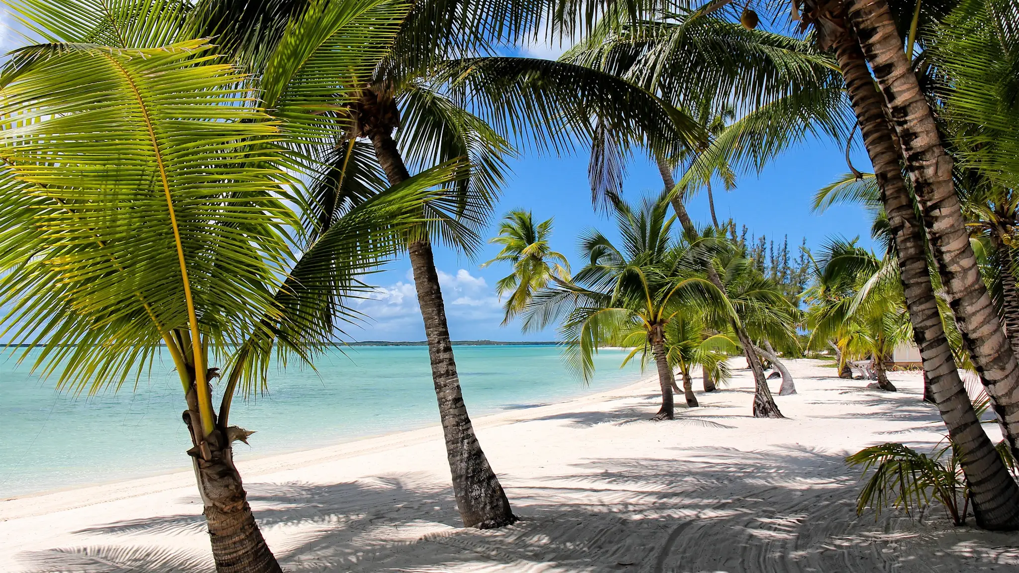 Top 10 des plus belles îles des Bahamas | Tourlane