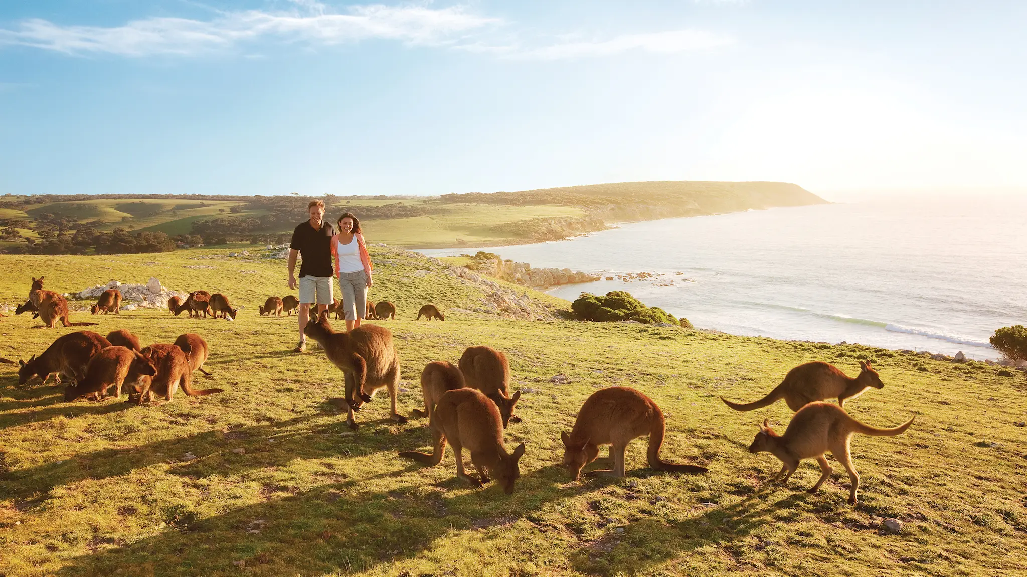 Safari en Australie : circuits sur mesure | Tourlane