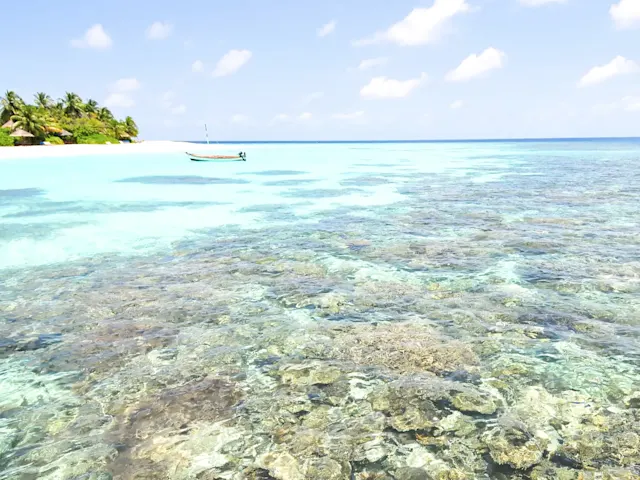 Top 10 des plus belles îles des Maldives | Tourlane