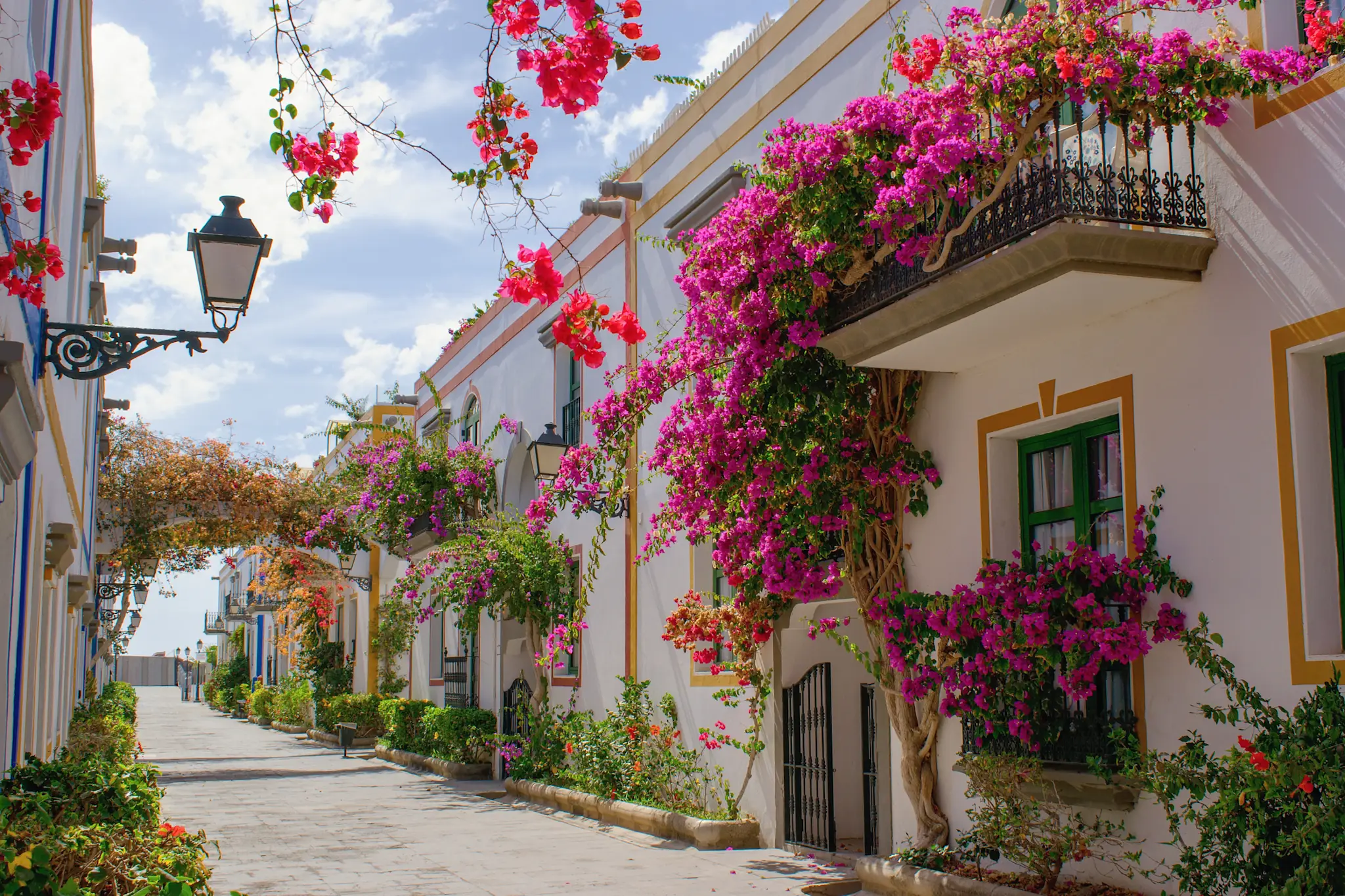 Quand partir aux îles Canaries ? Guide de voyage | Tourlane
