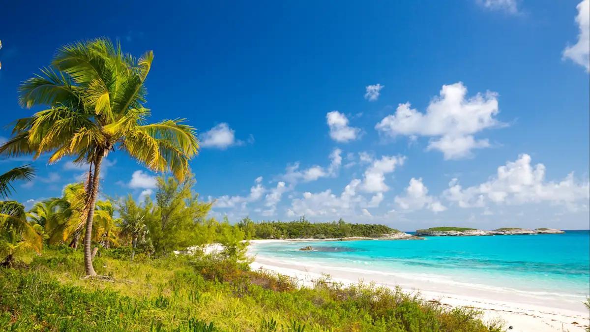 Surf aux Bahamas : conseils et offres de voyage | Tourlane