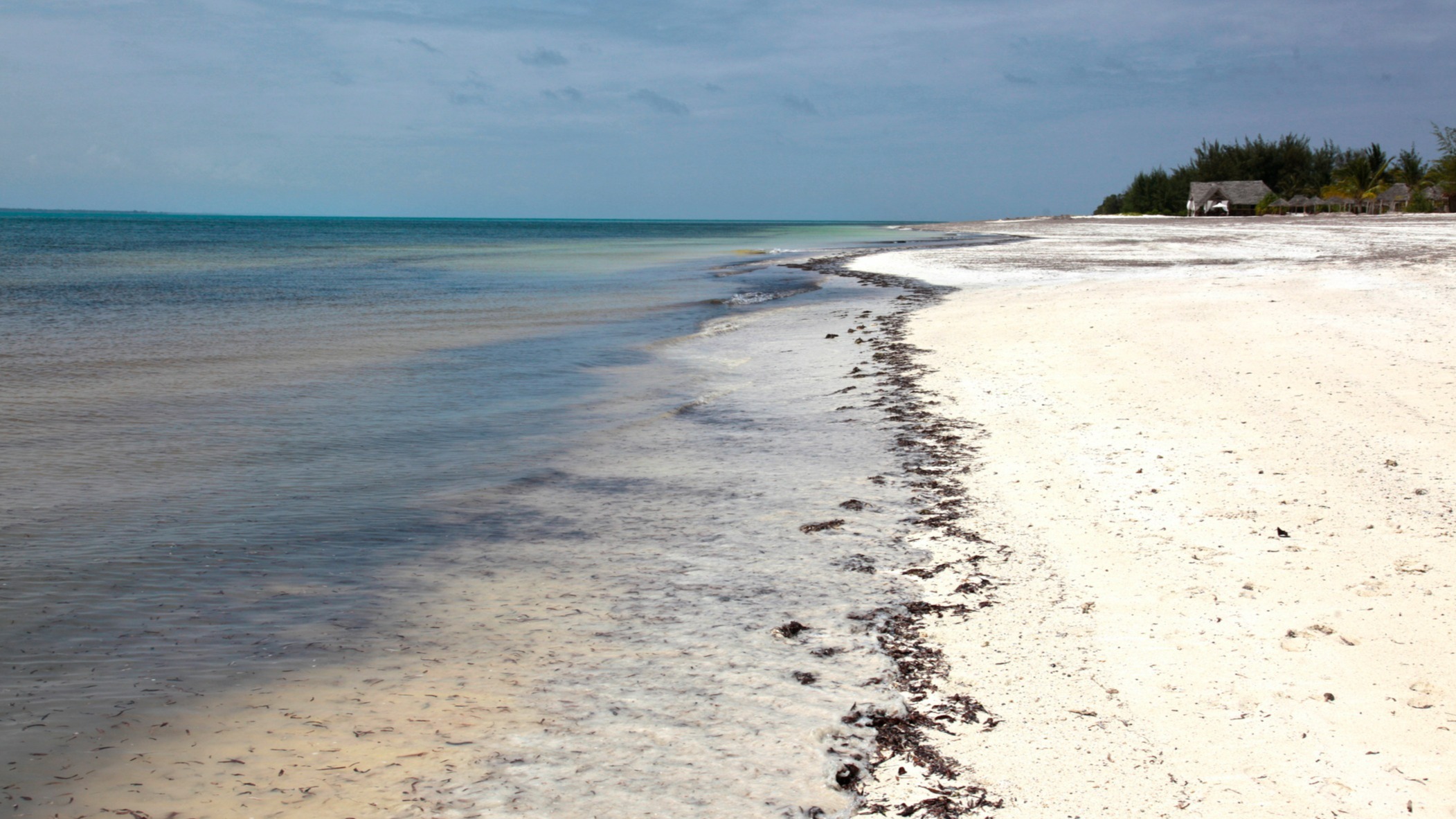 Unsere Top 12 Strände auf Sansibar für 2025 | Tourlane