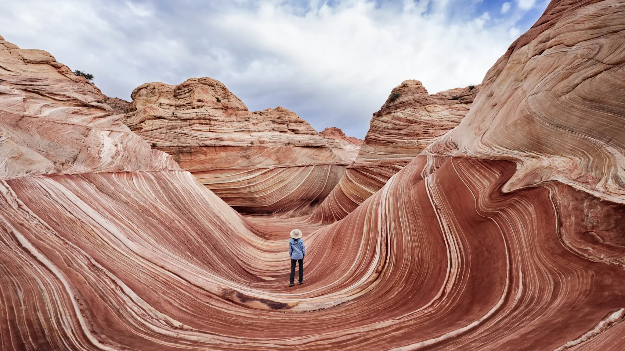 Press page | Tourlane