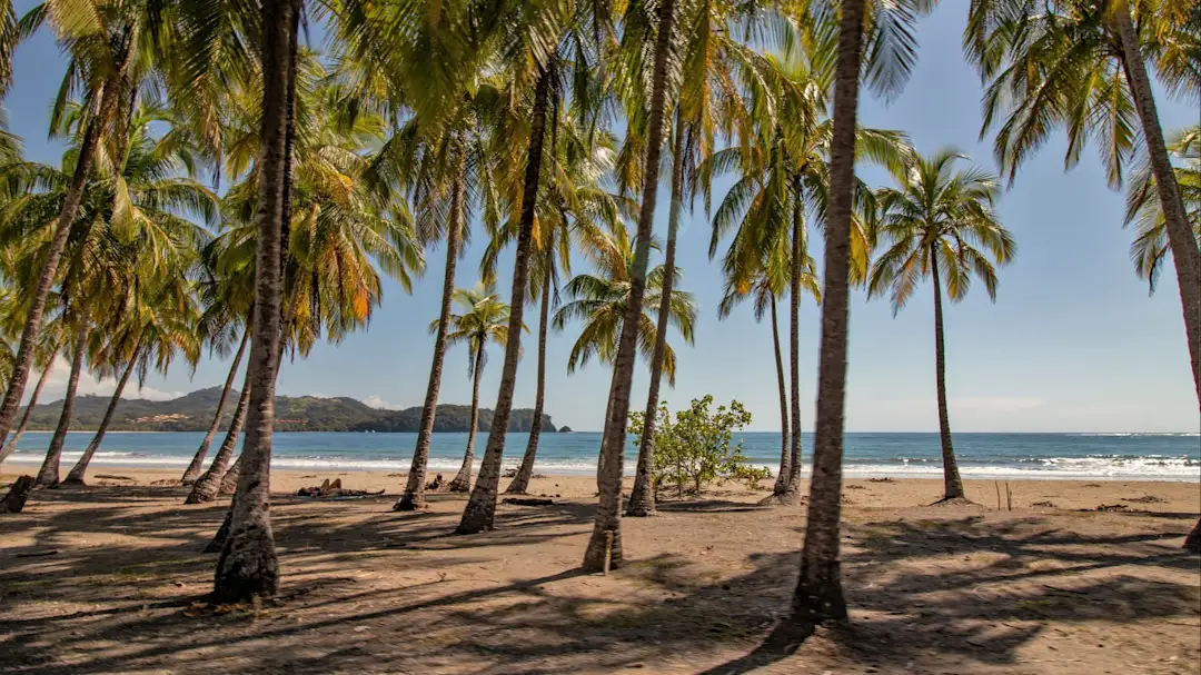 Die 25 schönsten Strände in Costa Rica für 2025 | Tourlane