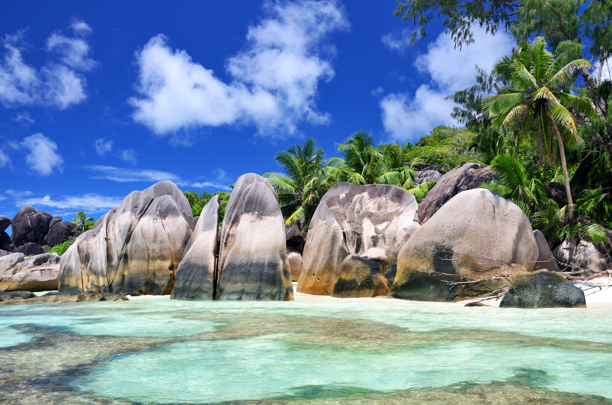 Quand partir aux Seychelles ? Guide de voyage | Tourlane
