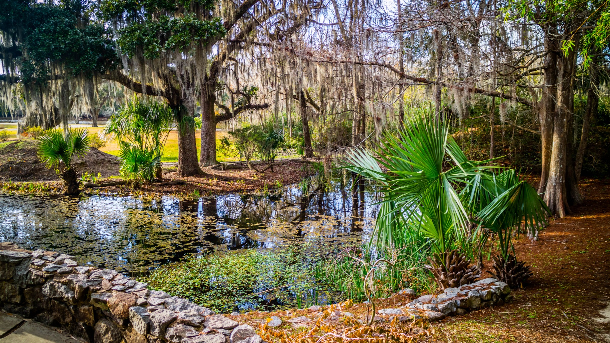 Visiter la Louisiane : 15 choses à faire et à voire | Tourlane