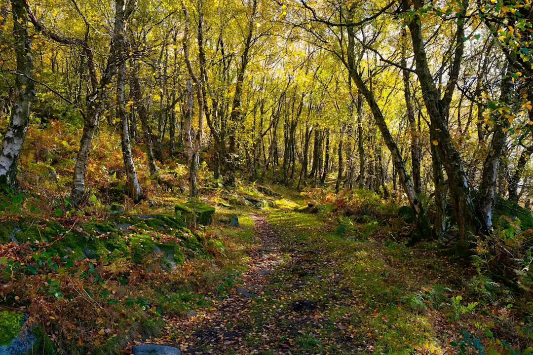 Wales-Geheimtipps: von unserem Reiseexperten | Tourlane