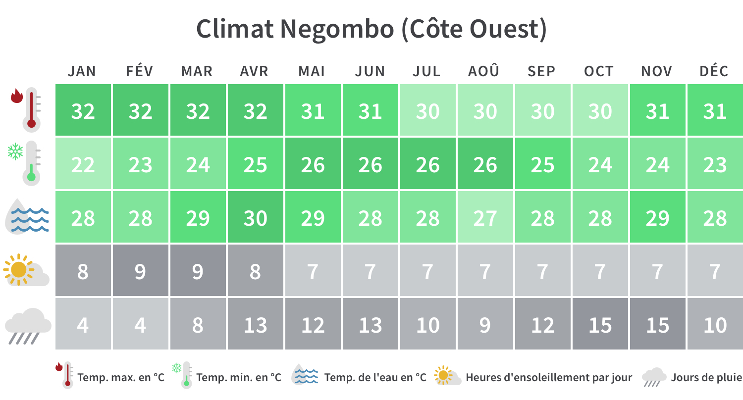 Quand partir au Sri Lanka ? Guide de voyage | Tourlane