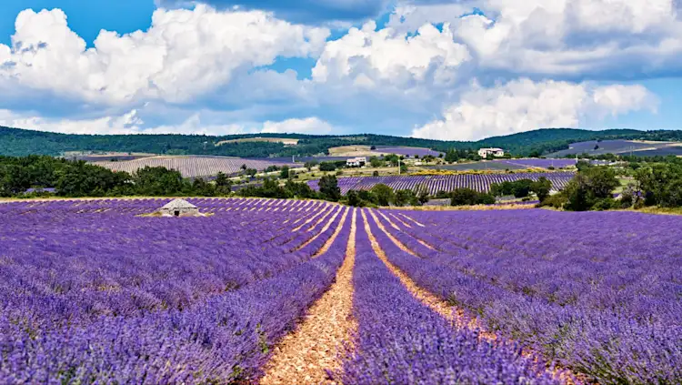 Where to Go in Europe in March | Best Spring Destinations in 2026
