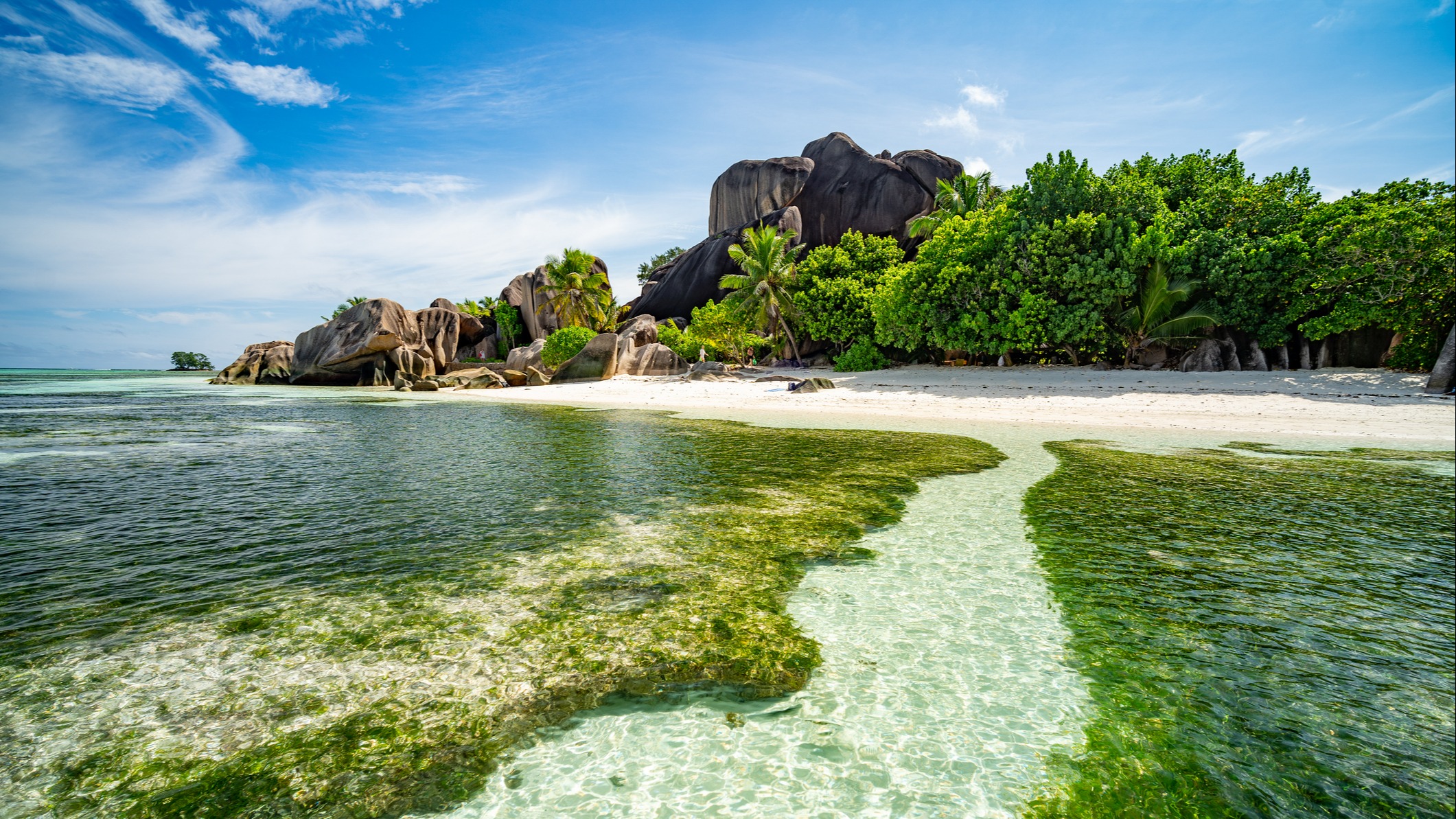 Spécialités aux Seychelles : Top 10 des plats à goûter absolument ...