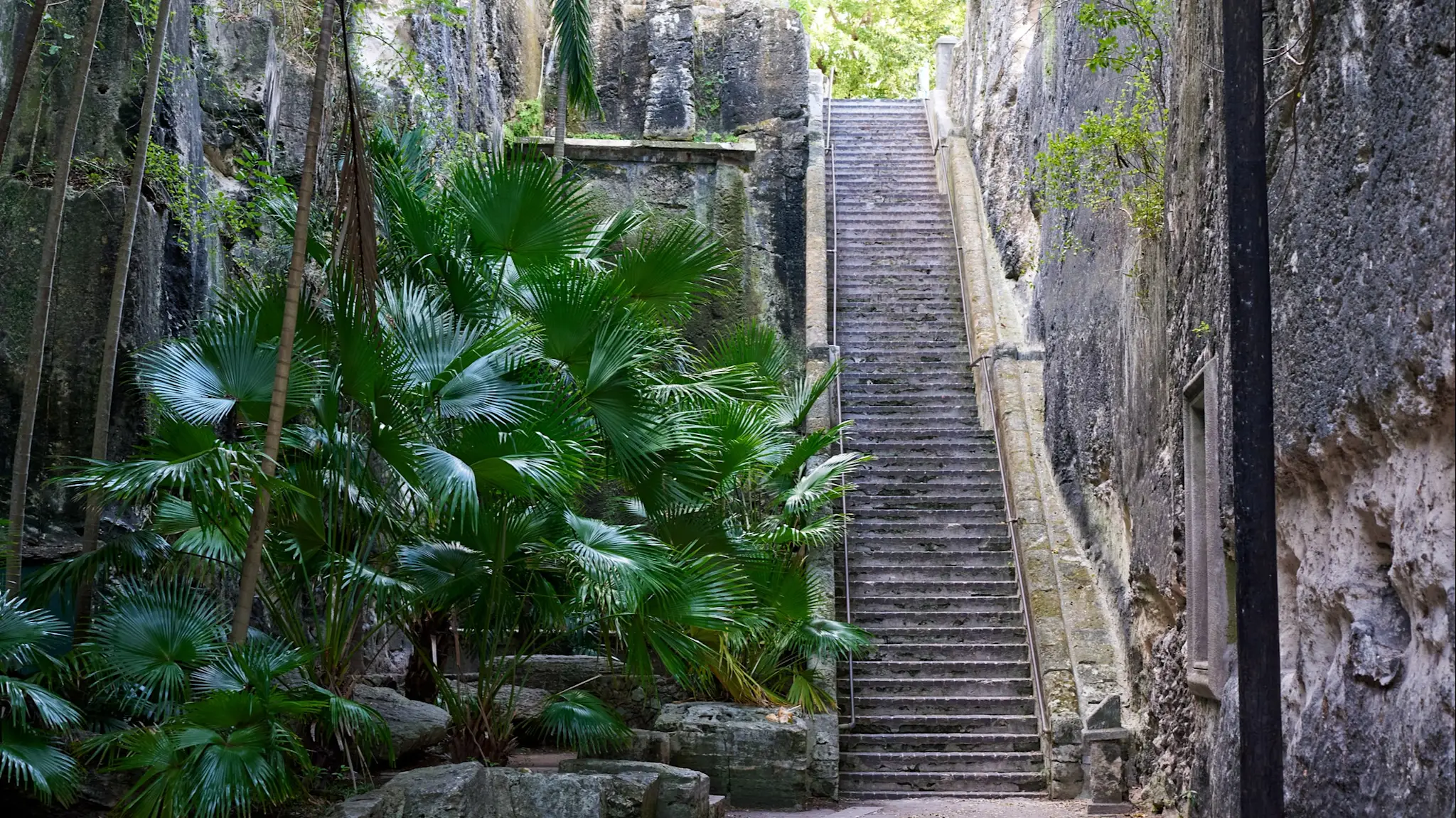 Top 12 des lieux d'intérêts à faire aux Bahamas | Tourlane