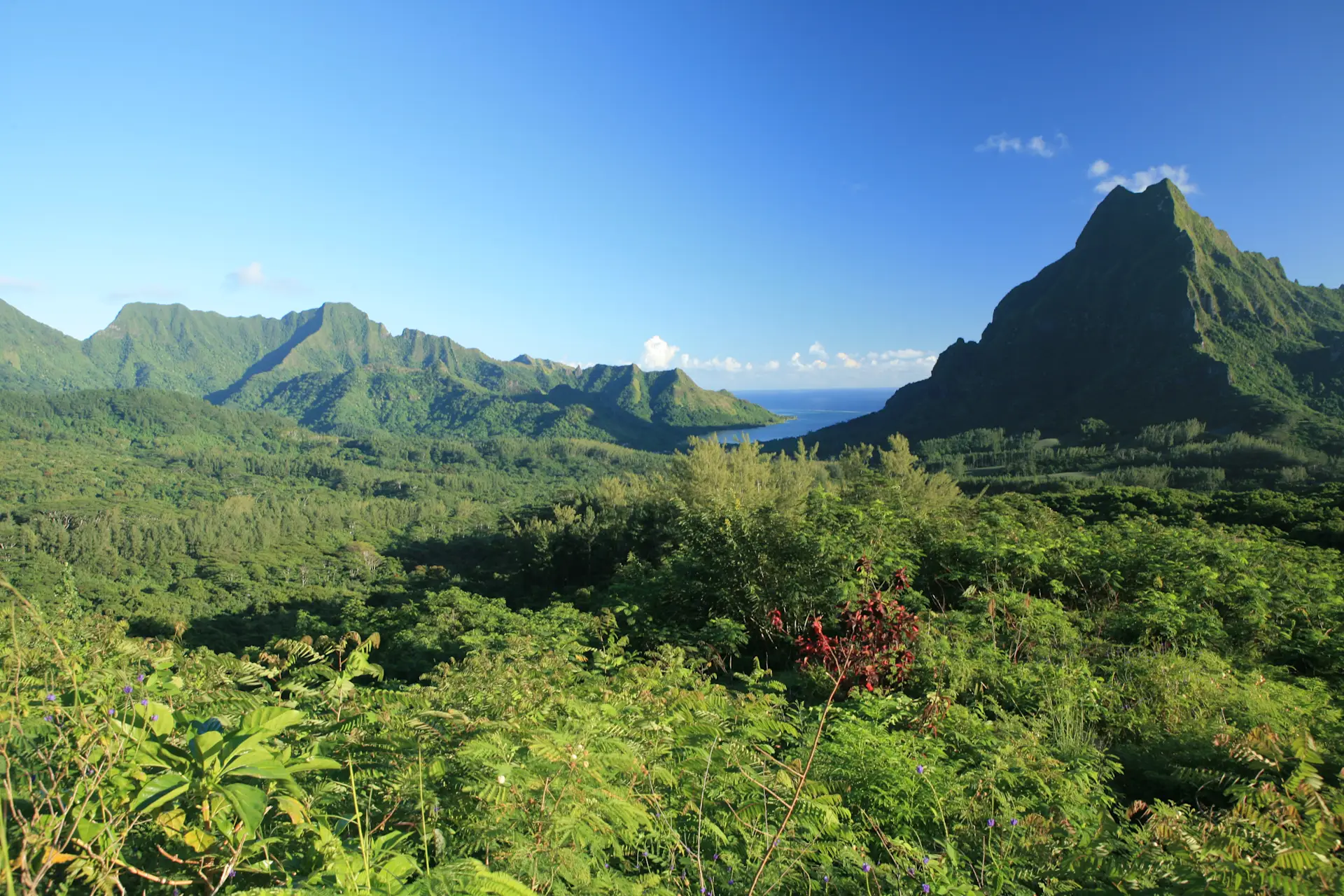 Randonnée en Polynésie française : nos conseils et offres | Tourlane