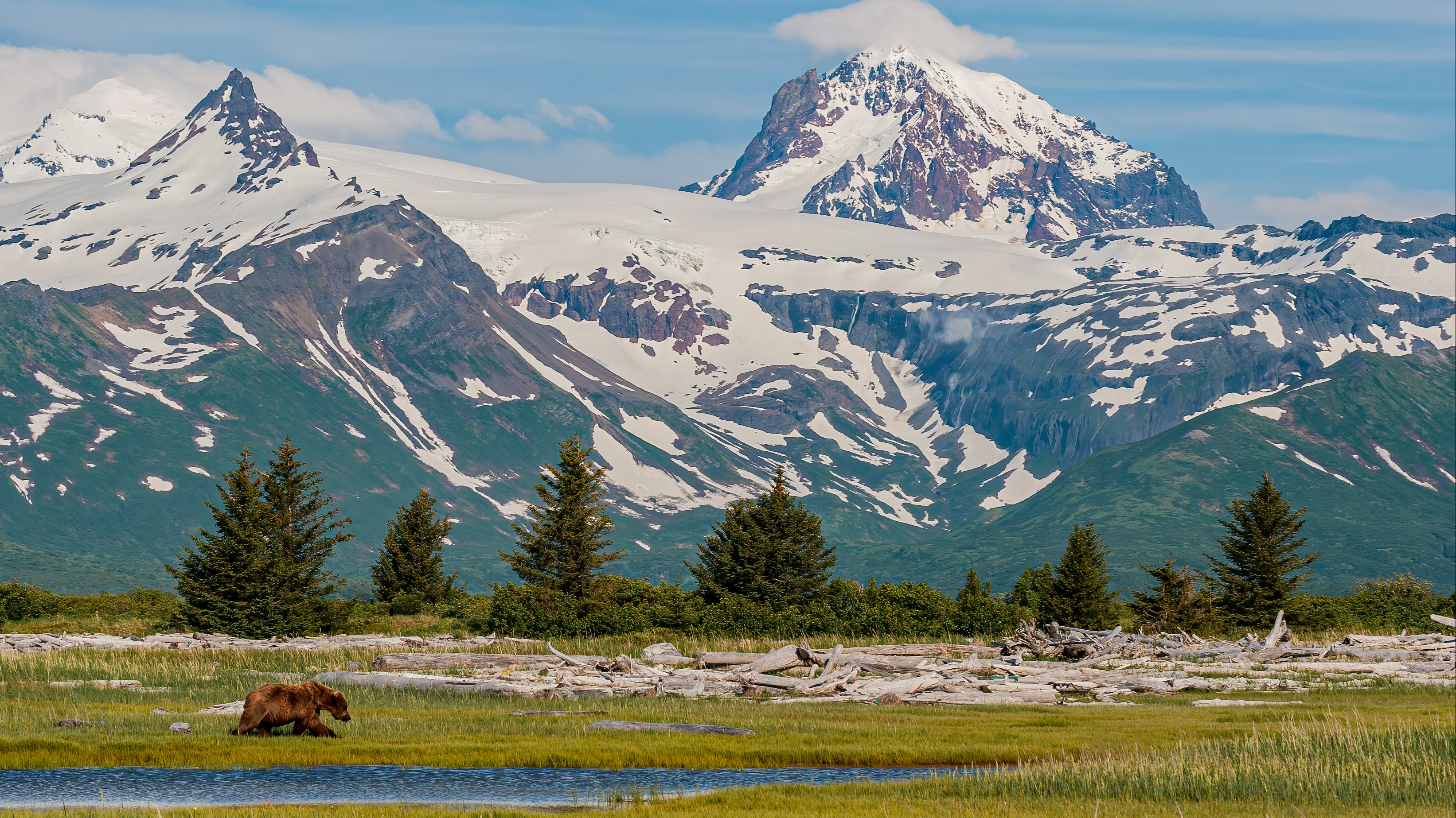Top 15 lieux d'intérêts en Alaska | Tourlane