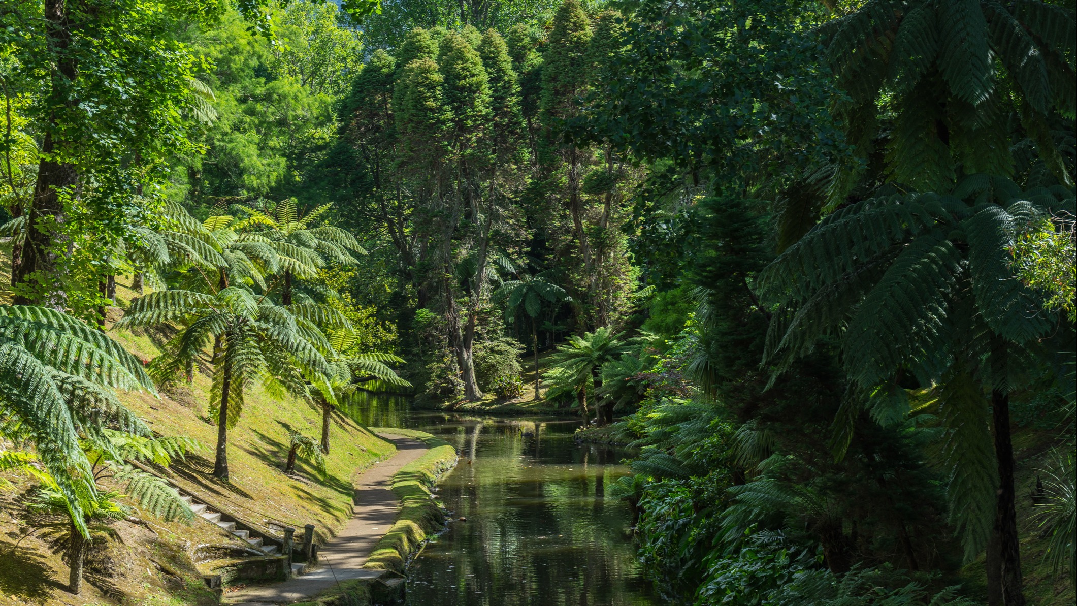 Top 15 Sehenswürdigkeiten auf den Azoren für 2025 | Tourlane