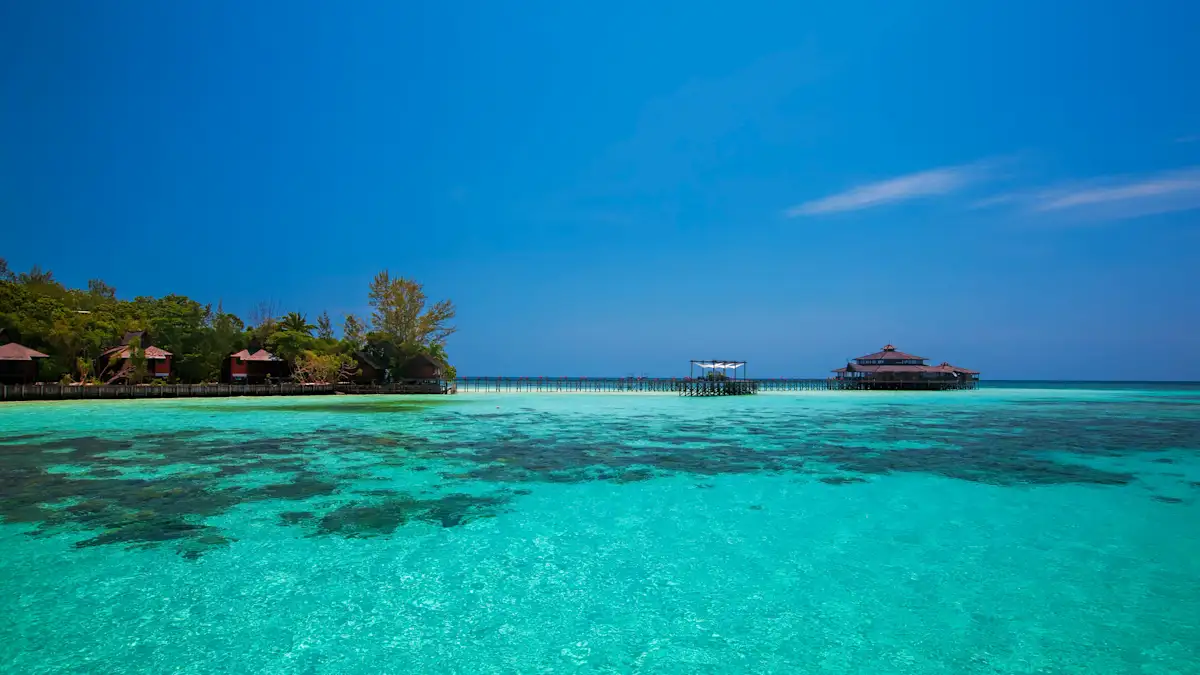 Que faire à Bornéo ? Top 10 des lieux à voir | Tourlane