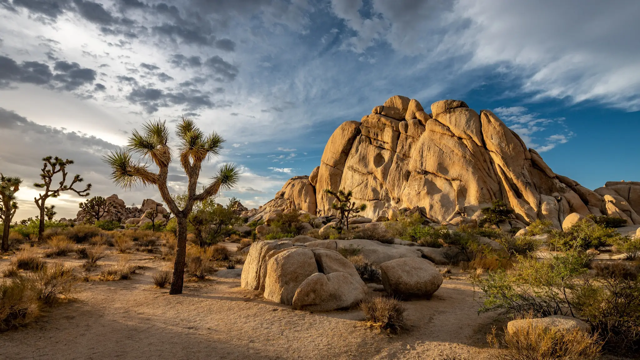 Top 15 Sehenswürdigkeiten in Kalifornien für 2025 | Tourlane