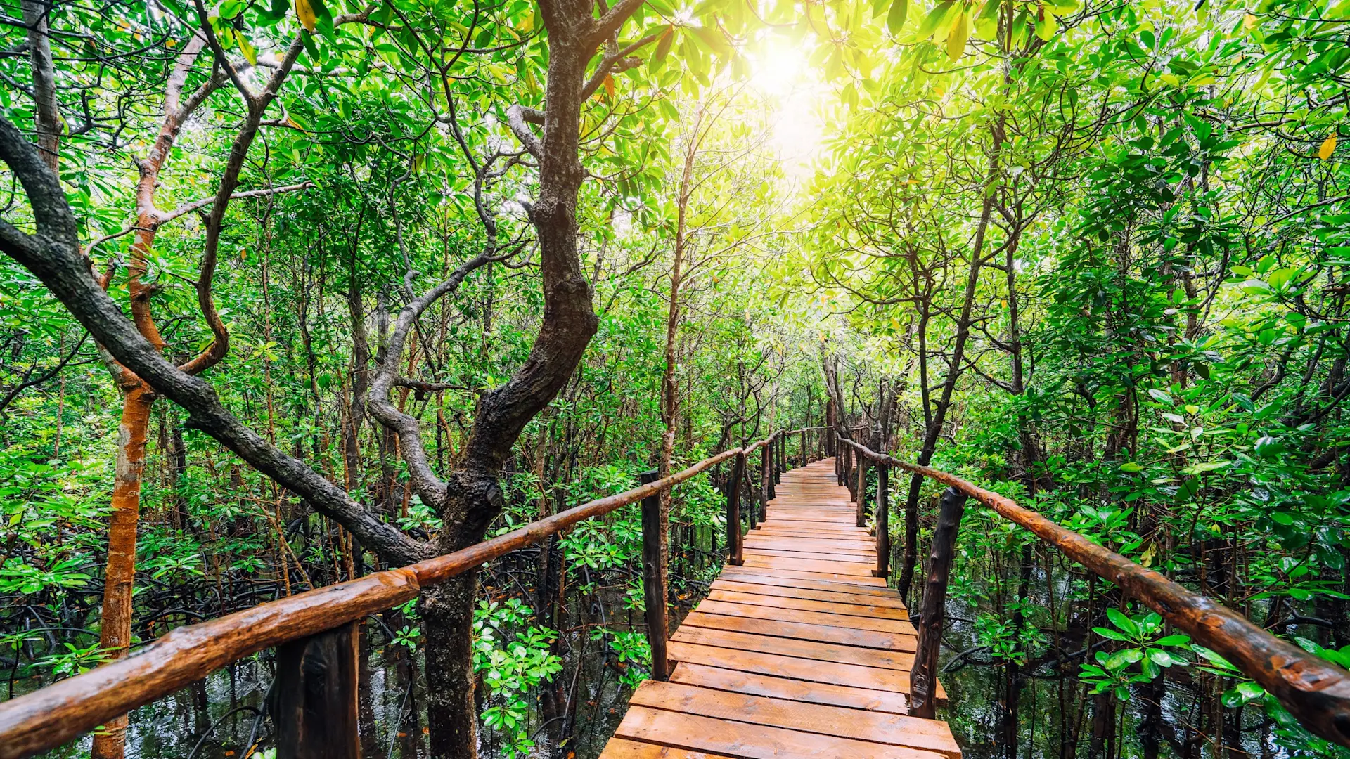 Top 12 Sehenswürdigkeiten auf Sansibar für 2025 | Tourlane