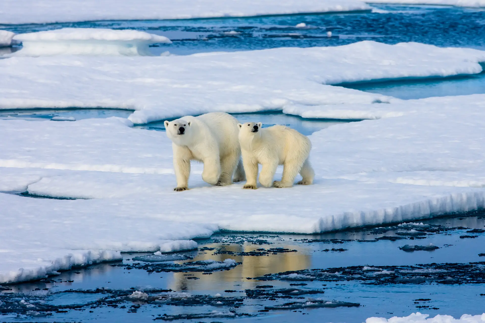 Beste Reisezeit für Spitzbergen: Klima, Wetter & Tipps | Tourlane