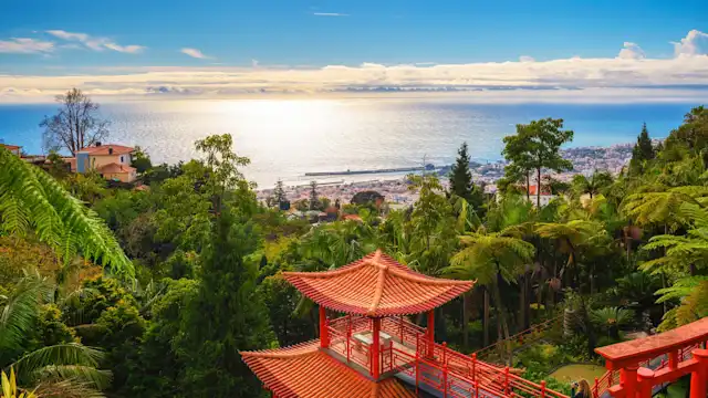Top 12 Sehenswürdigkeiten auf Madeira für 2025 | Tourlane