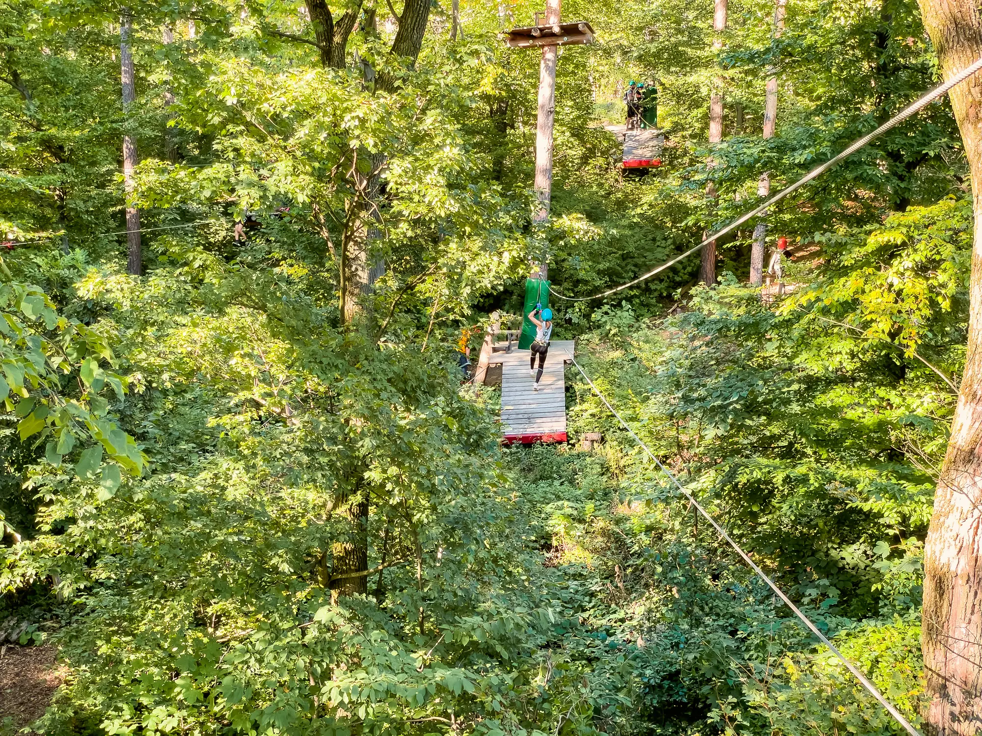 Ziplining in Portugal: Tipps & Reiseangebote | Tourlane