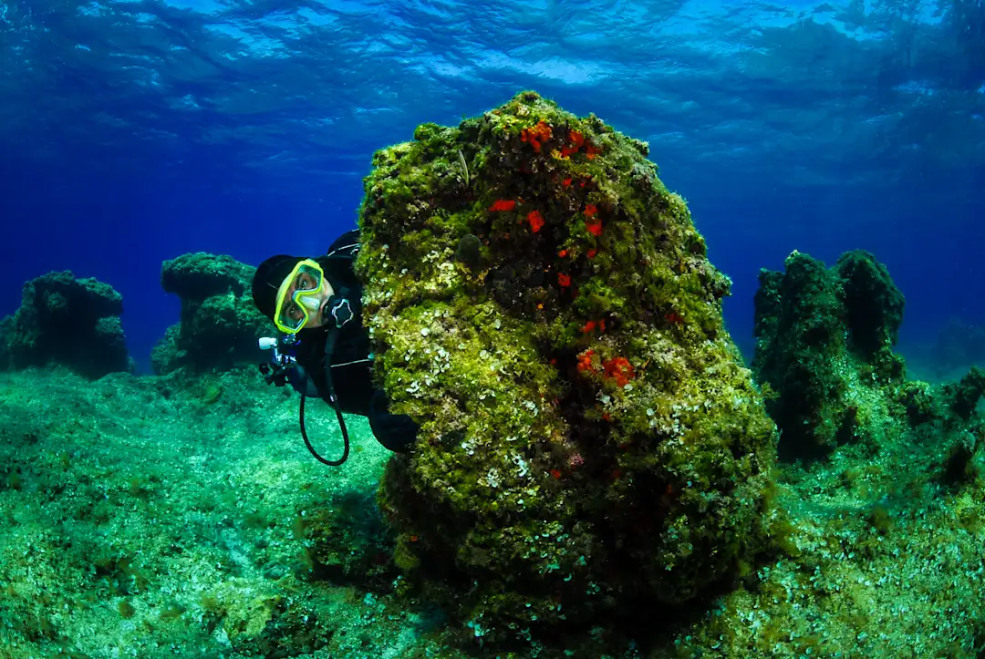 Tauchen & schnorcheln in Kroatien: Tipps & Reiseangebote | Tourlane