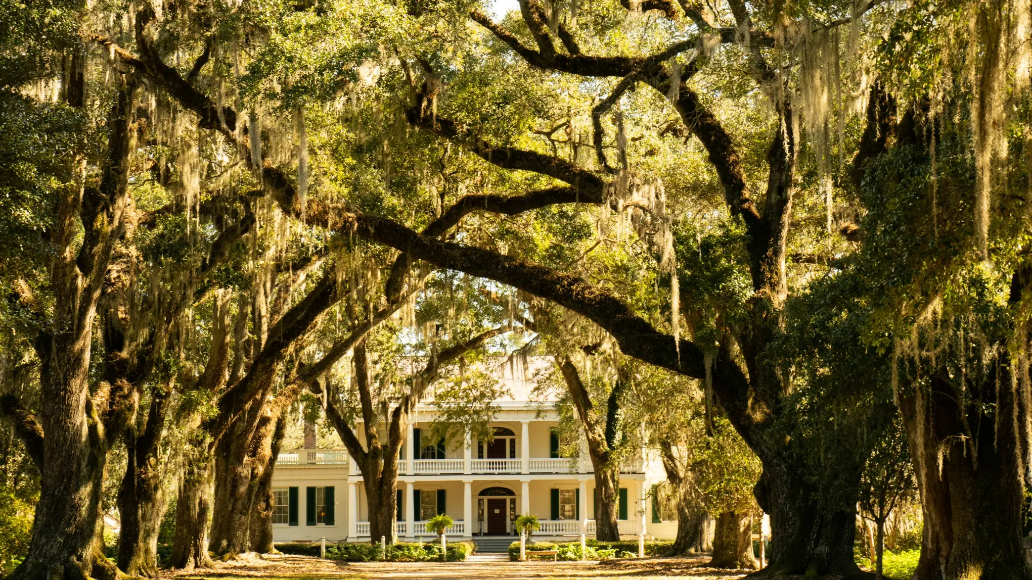 Visiter la Louisiane : 15 choses à faire et à voir | Tourlane