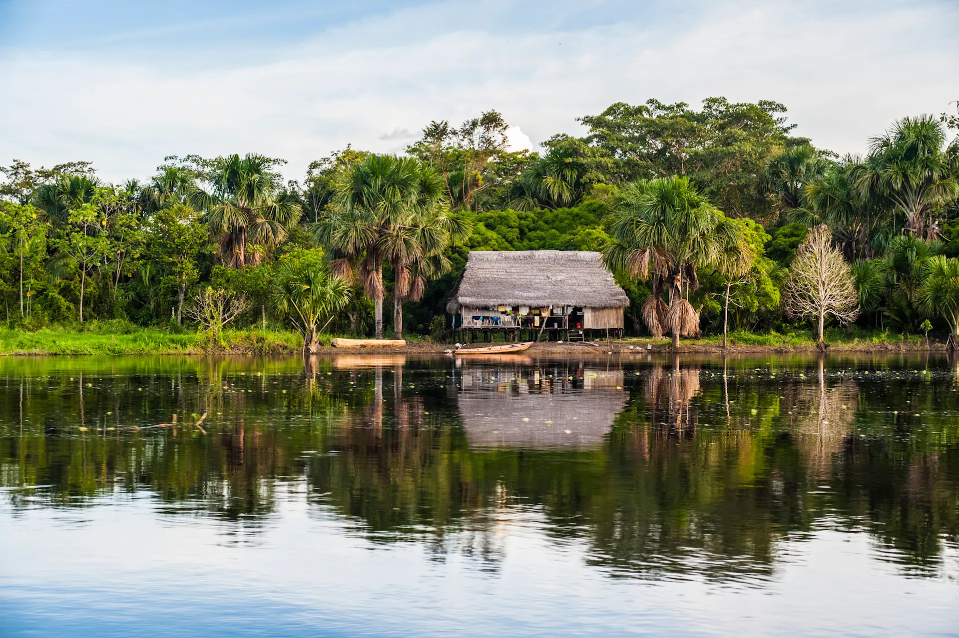 Amazonas-Tour in Peru: Tipps & Reiseangebote | Tourlane