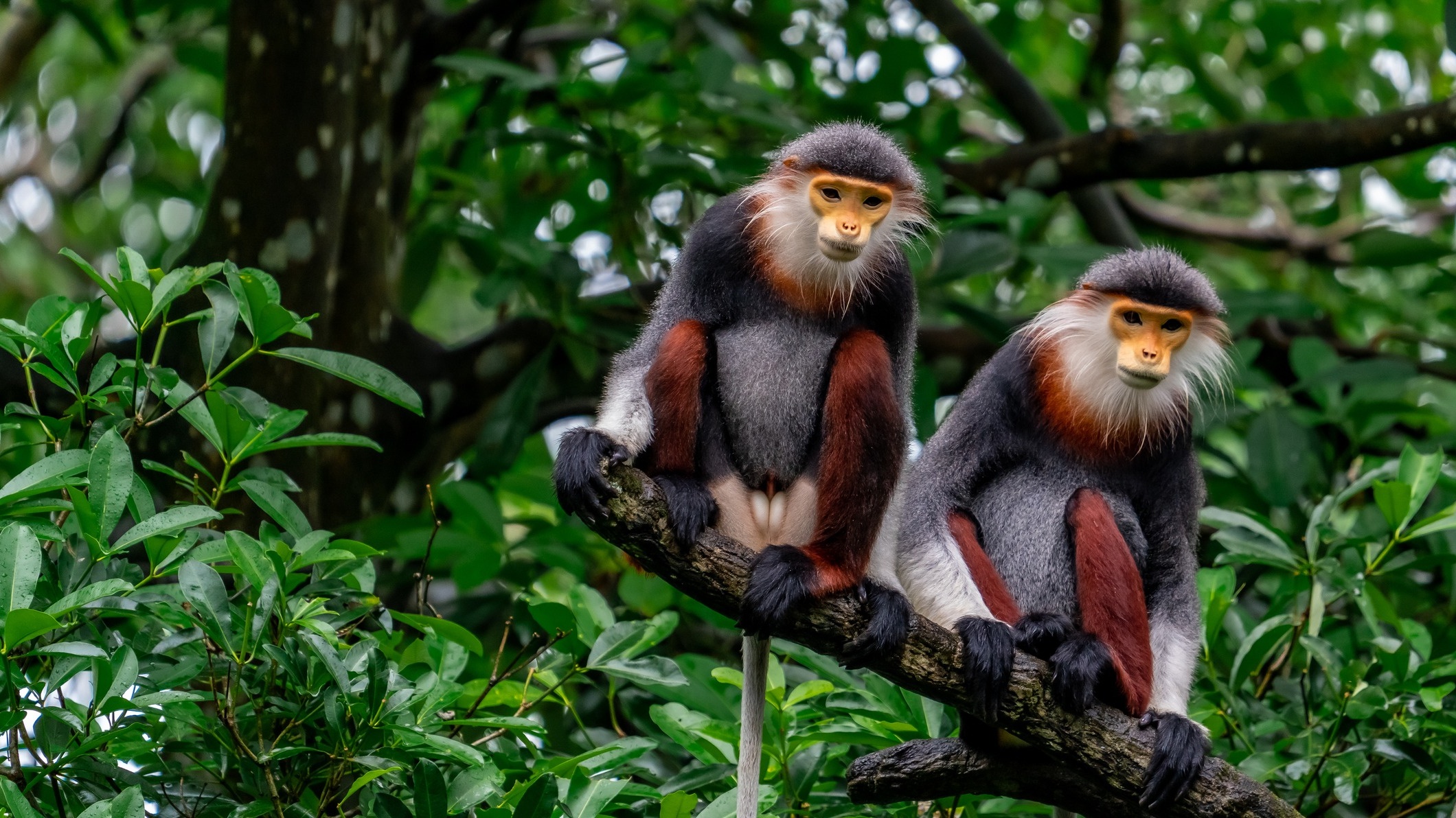 Préparer son voyage à Singapour | Tourlane