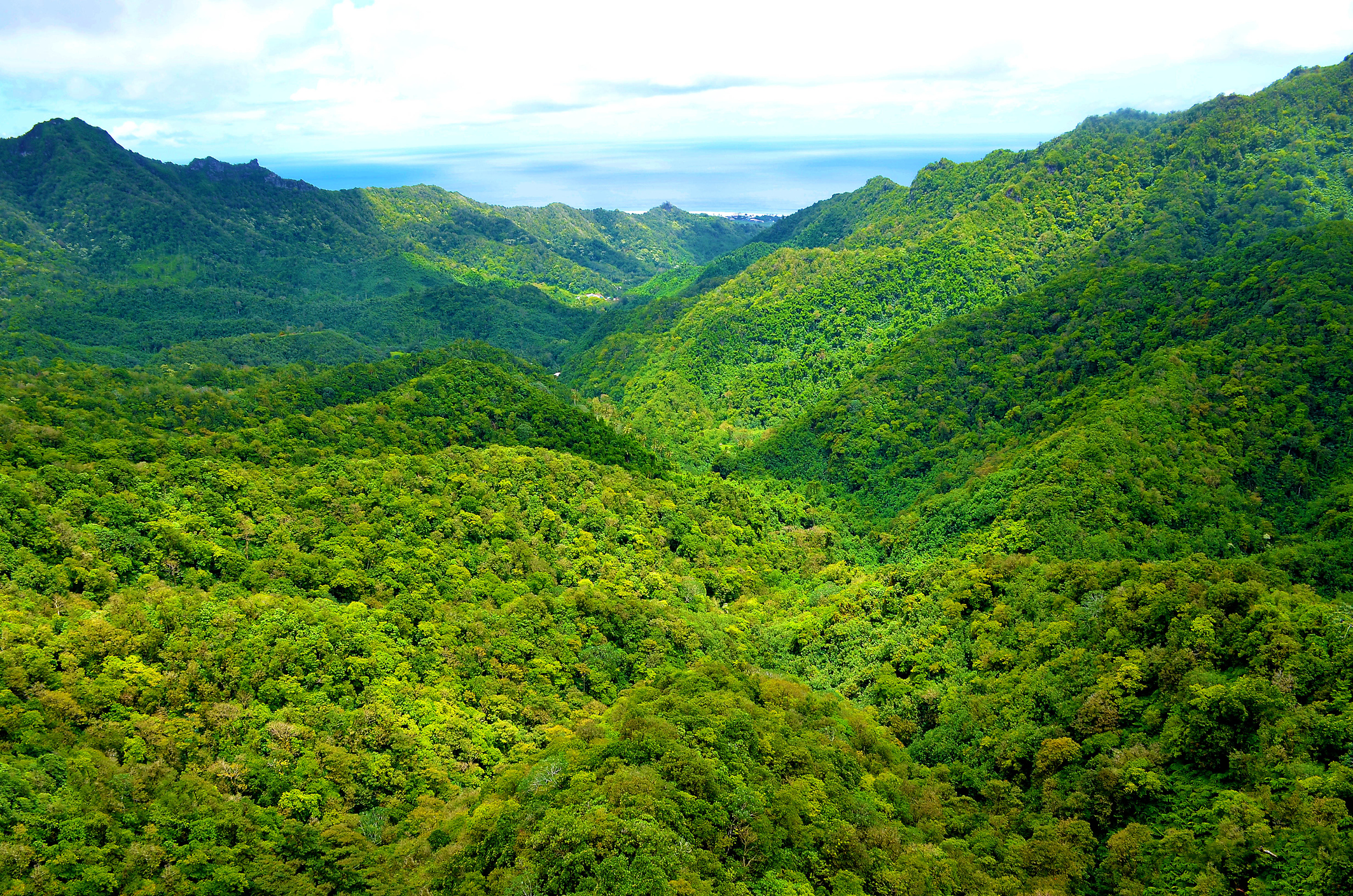 Beste Reisezeit für die Cookinseln: Klima, Wetter & Tipps | Tourlane