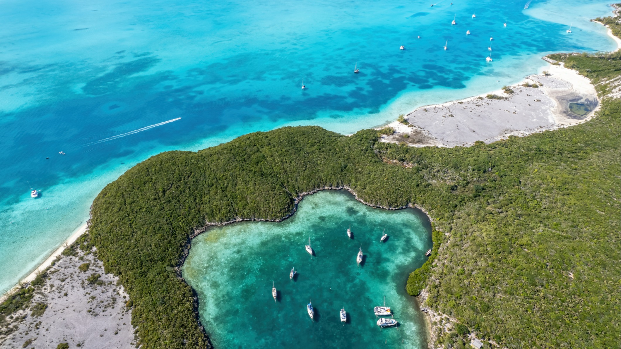 Cuisine aux Bahamas : Top 10 des spécialités | Tourlane