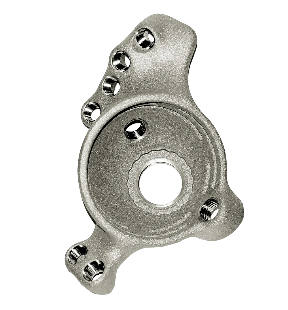 OSSIS Custom Pelvic Implants | Zimmer Biomet | Zimmer Biomet