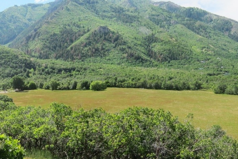 Troon To Assist In Development And Management Of New Three Bridges ...