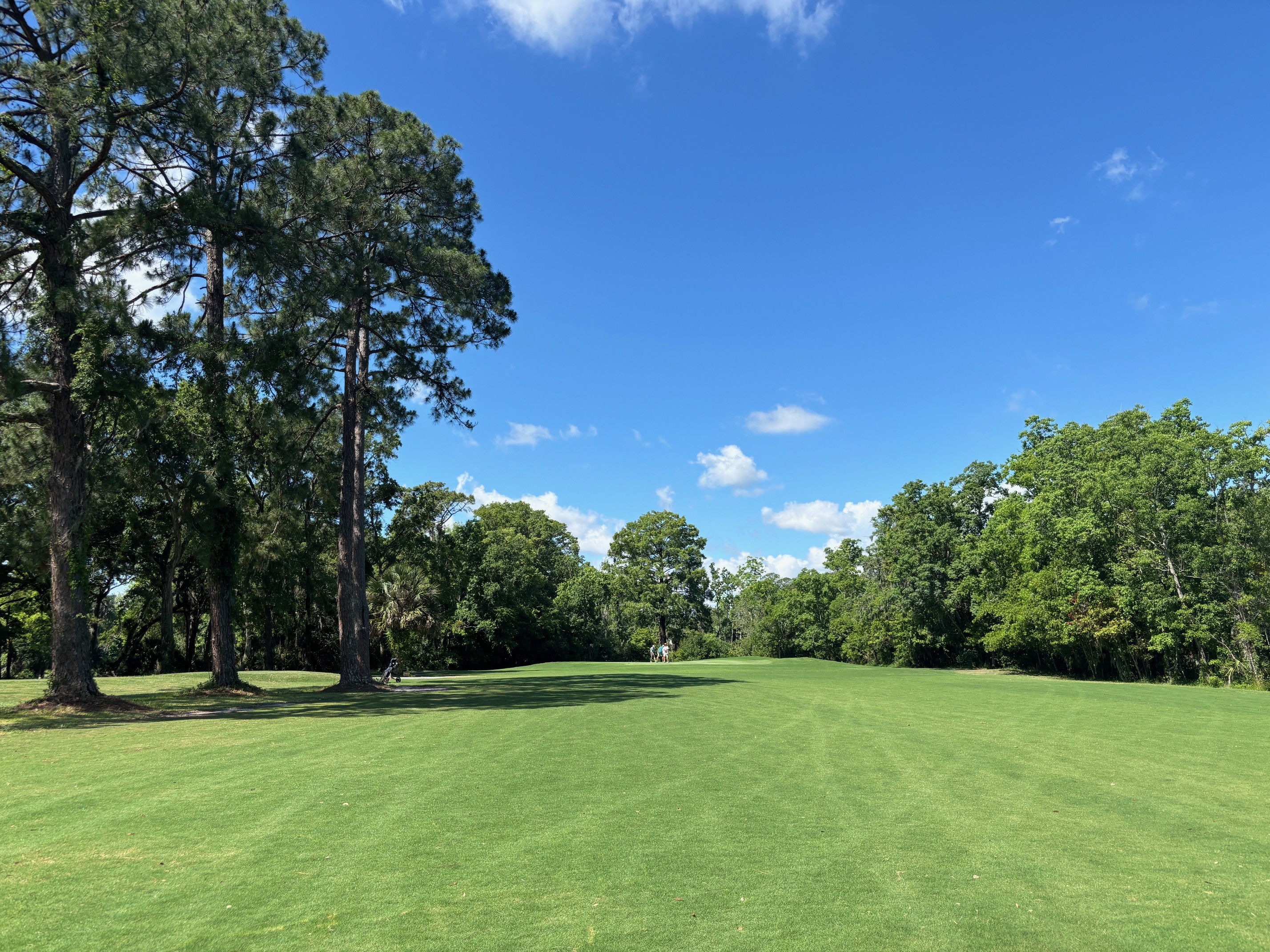 Blue Cypress Golf Course Unveils Three New Golf Holes - Jacksonville’s ...