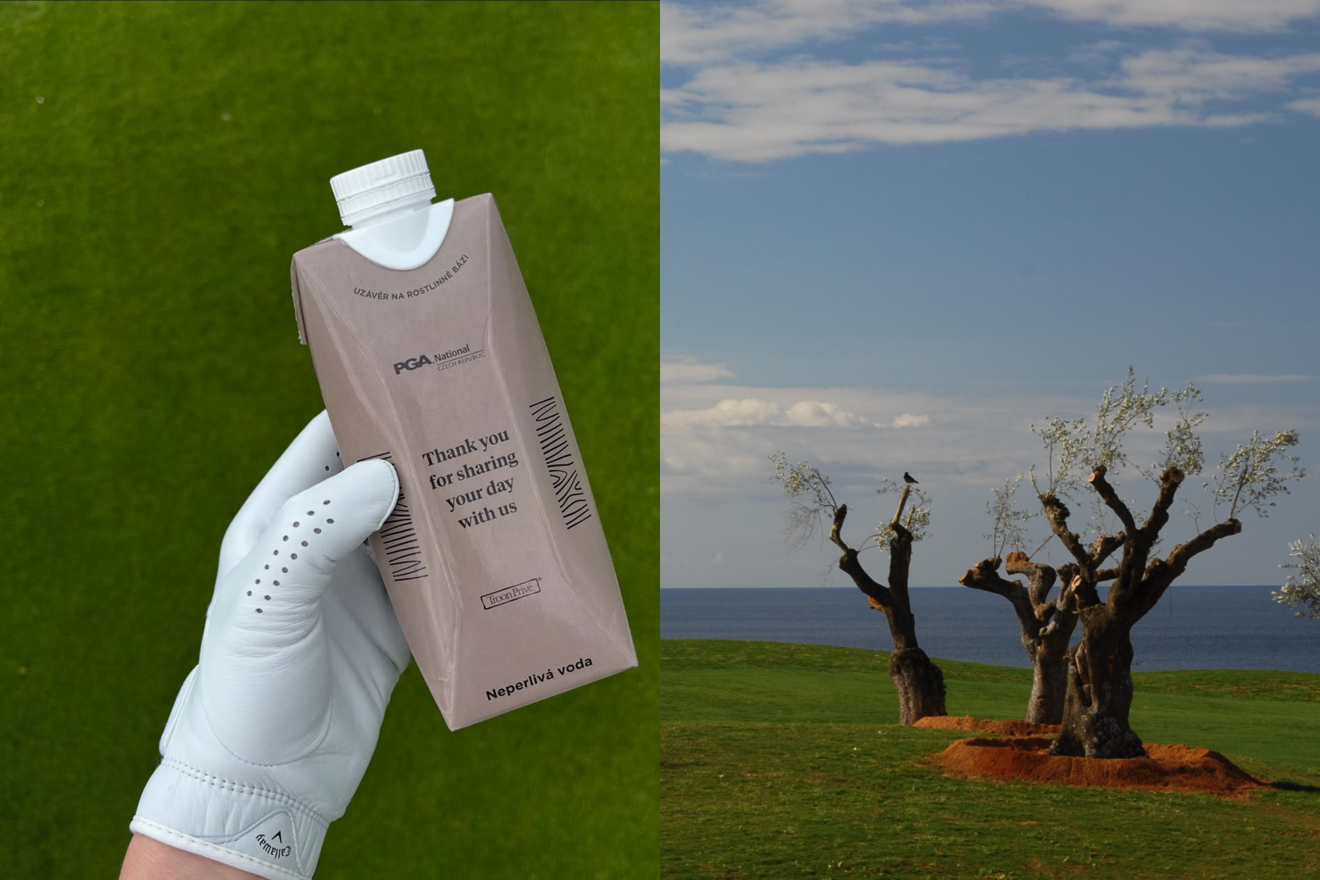 Troon International celebrates World Environment Day 2025 | Press ...