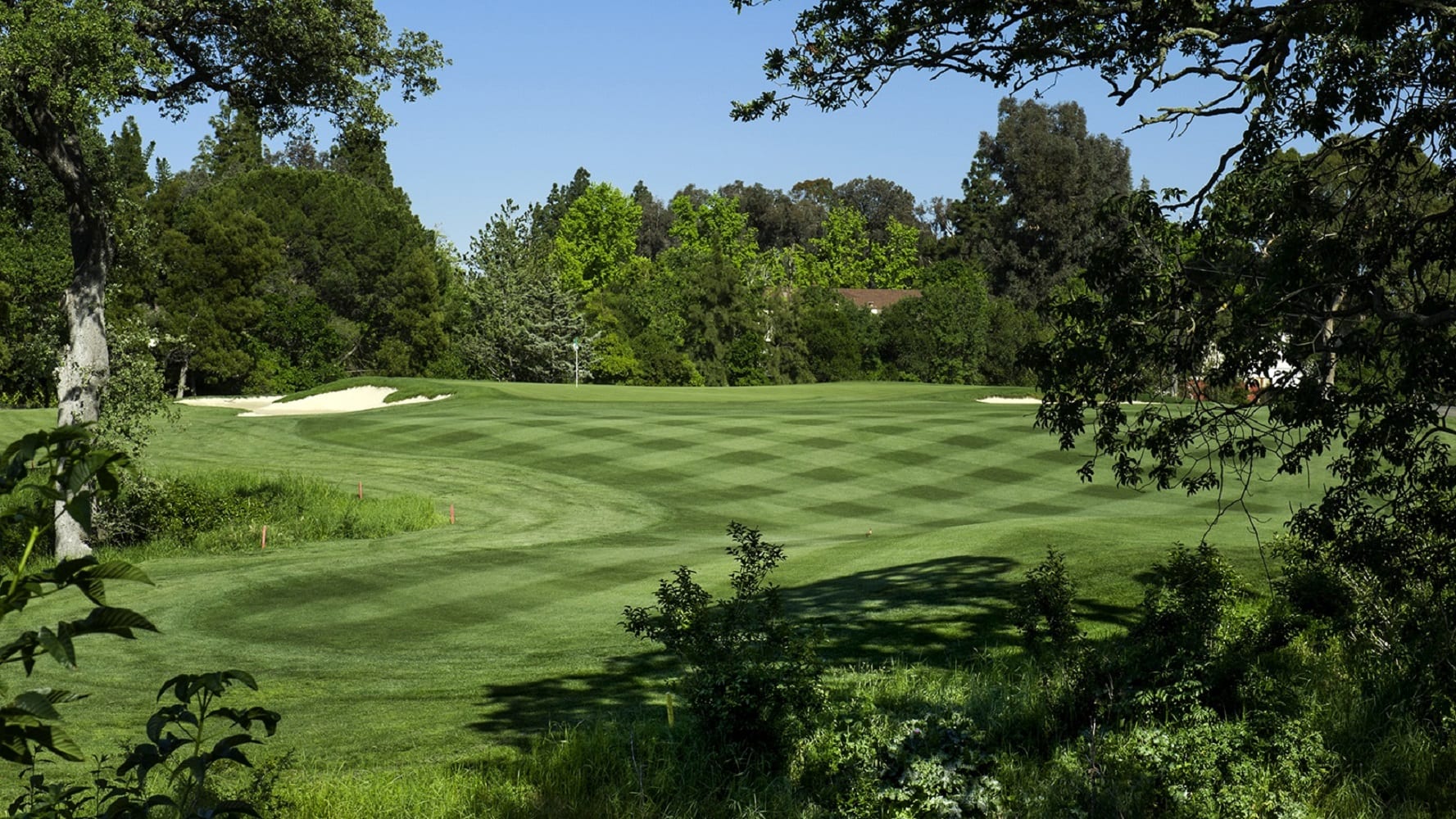 Contra Costa Country Club Members Raise $55,000 For Breast Cancer ...